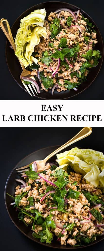 Easy Larb Recipe with Chicken - Posh Journal