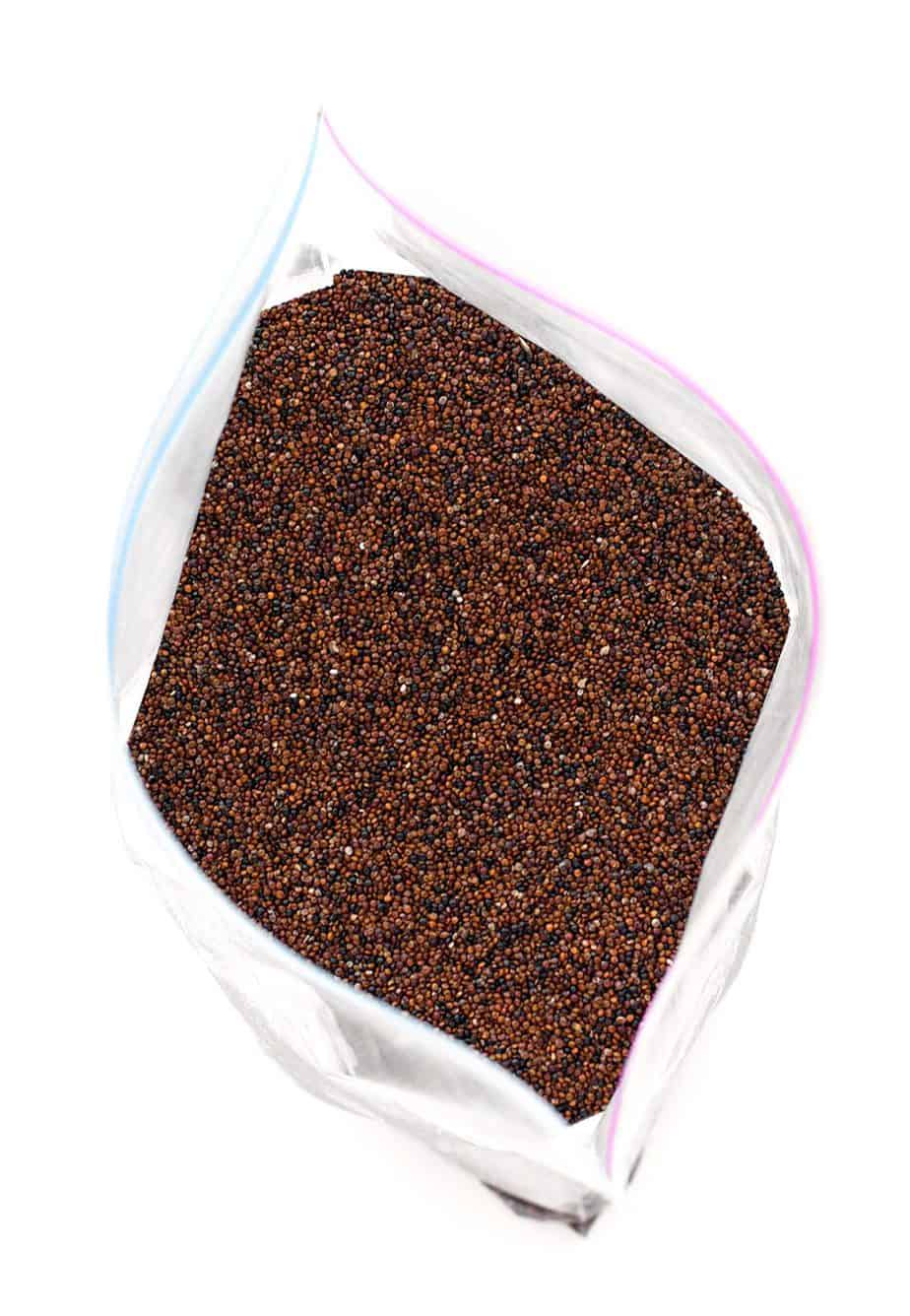 Ancient Grains - Kaniwa Salad - Posh Journal