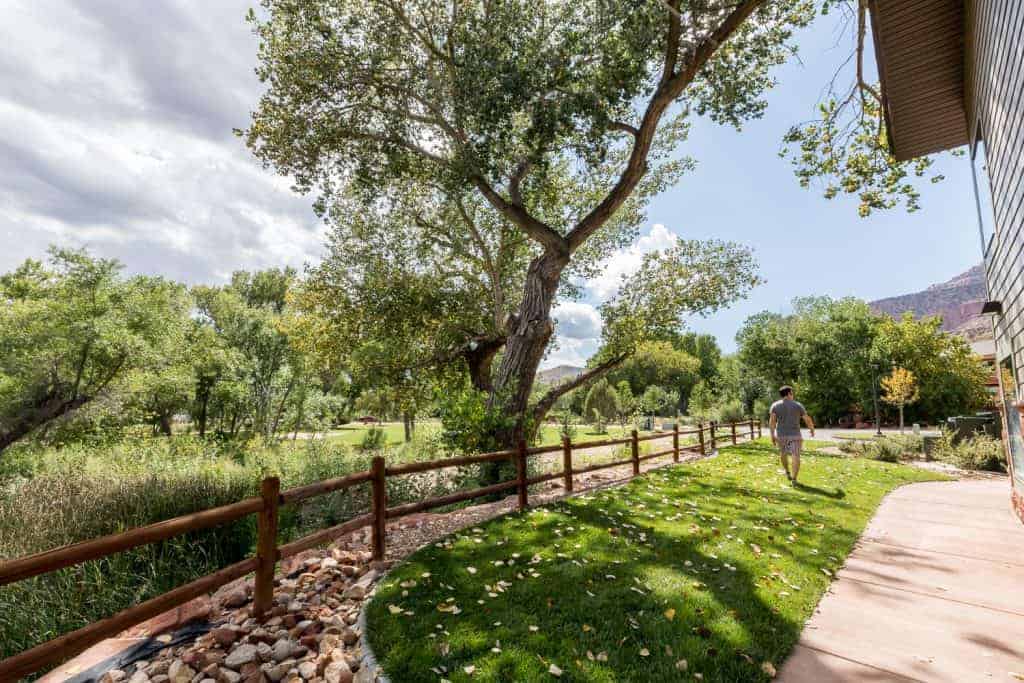 Best Place to Stay for Zion National Park: SpringHill Suites Springdale ...