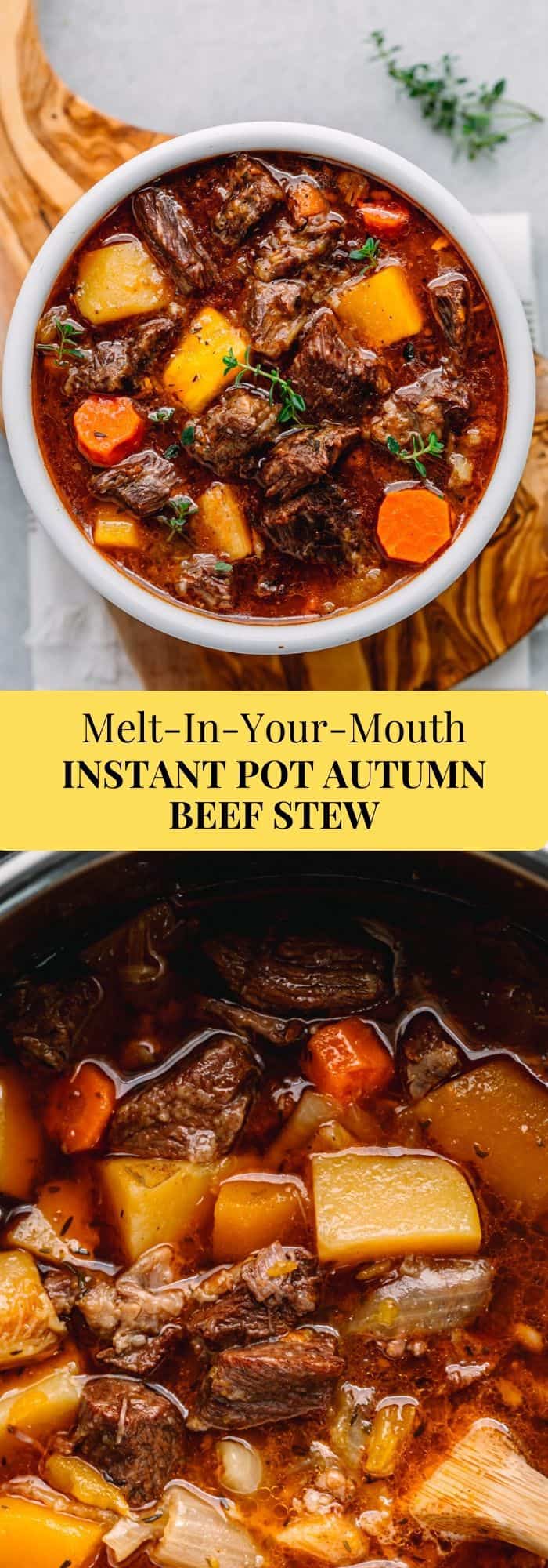 Pressure Cooker Autumn Beef Stew - Posh Journal