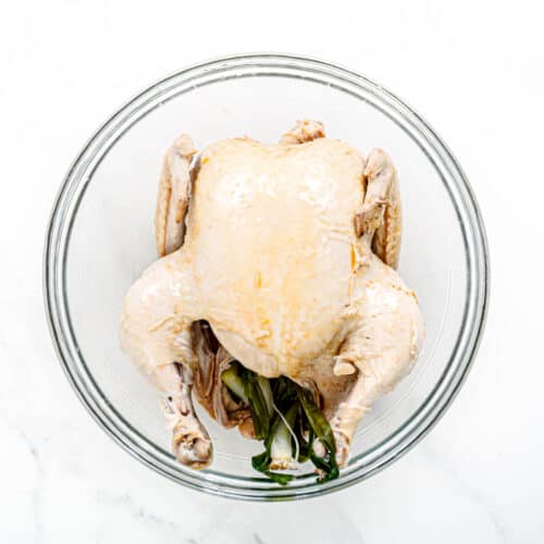 Hainanese Chicken Rice with Ginger Scallion Sauce - Posh Journal