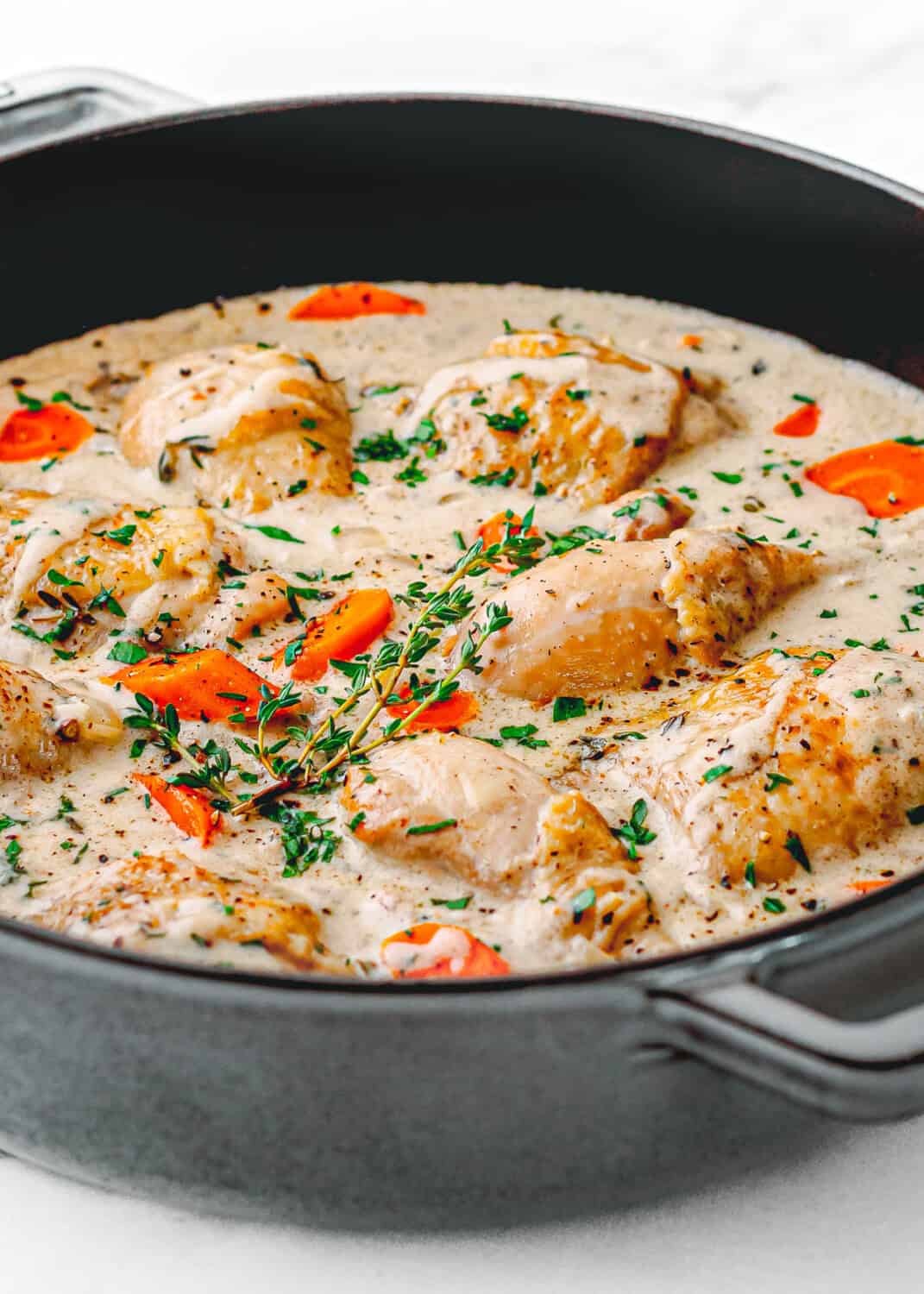 Easy One-Pot Chicken Fricassee Recipe: Classic French Comfort Food ...